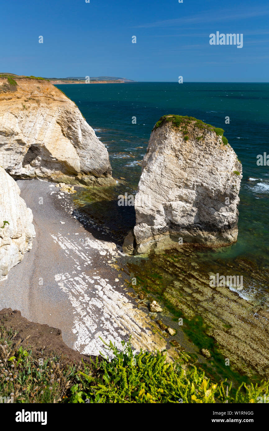 sea,stacks,wave,cut,platform,chalk,beach,Freshwater Bay,Isle of Wight ...