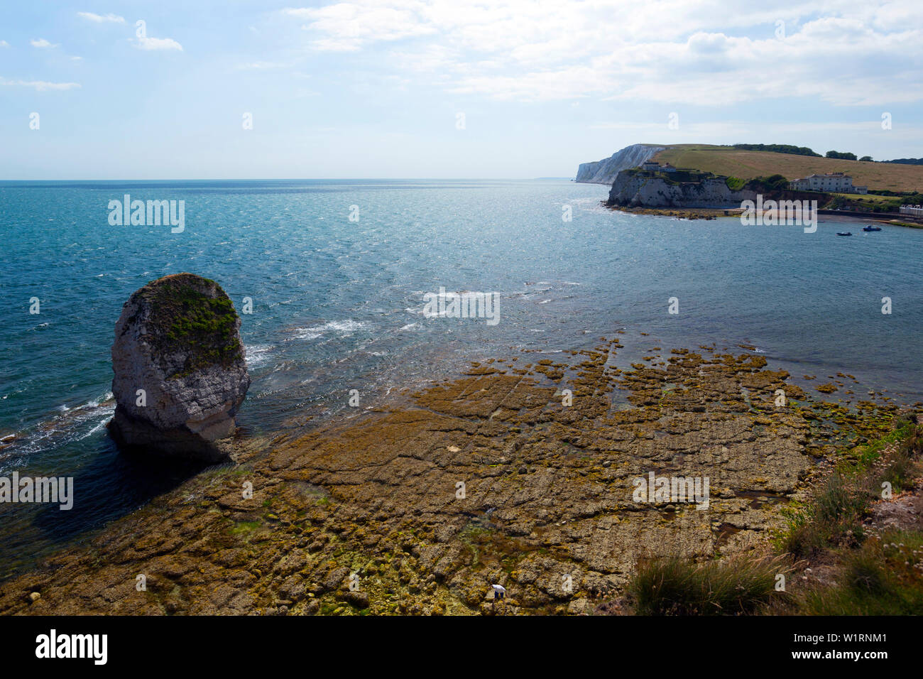 sea,stacks,wave,cut,platform,chalk,beach,Freshwater Bay,Isle of Wight ...