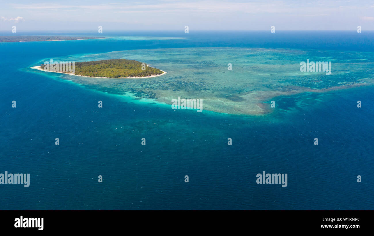 Philippine coral tree hi-res stock photography and images - Alamy