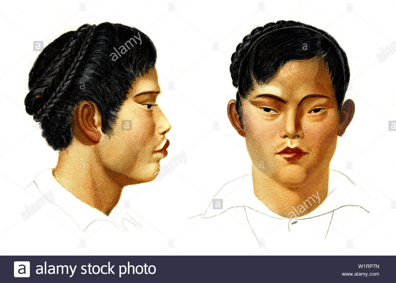 Siamese History Stock Photos & Siamese History Stock Images - Alamy