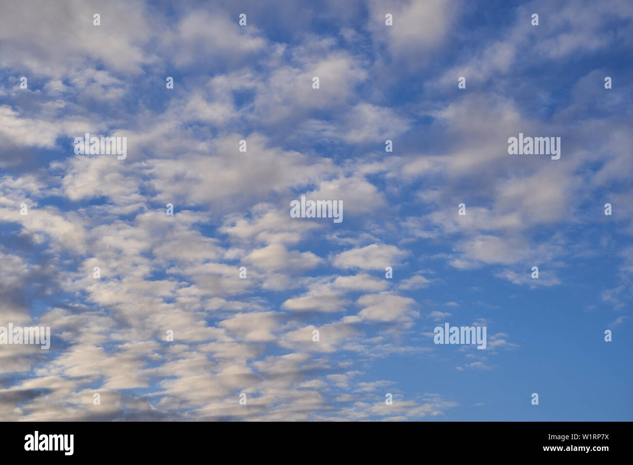Blue sky lots small clouds hi-res stock photography and images - Alamy