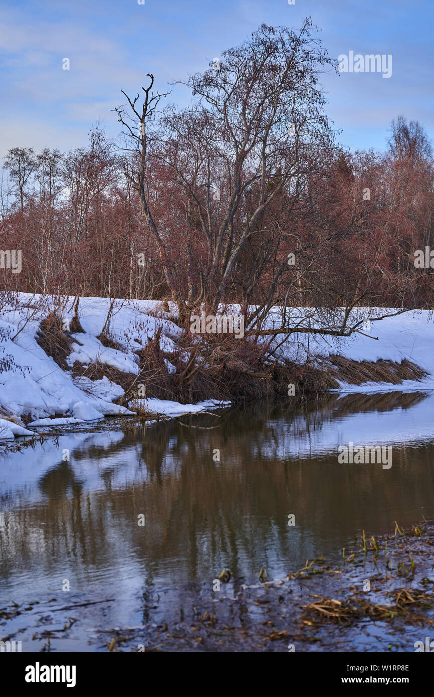 The river in the spring. Melting ice Stock Photo - Alamy