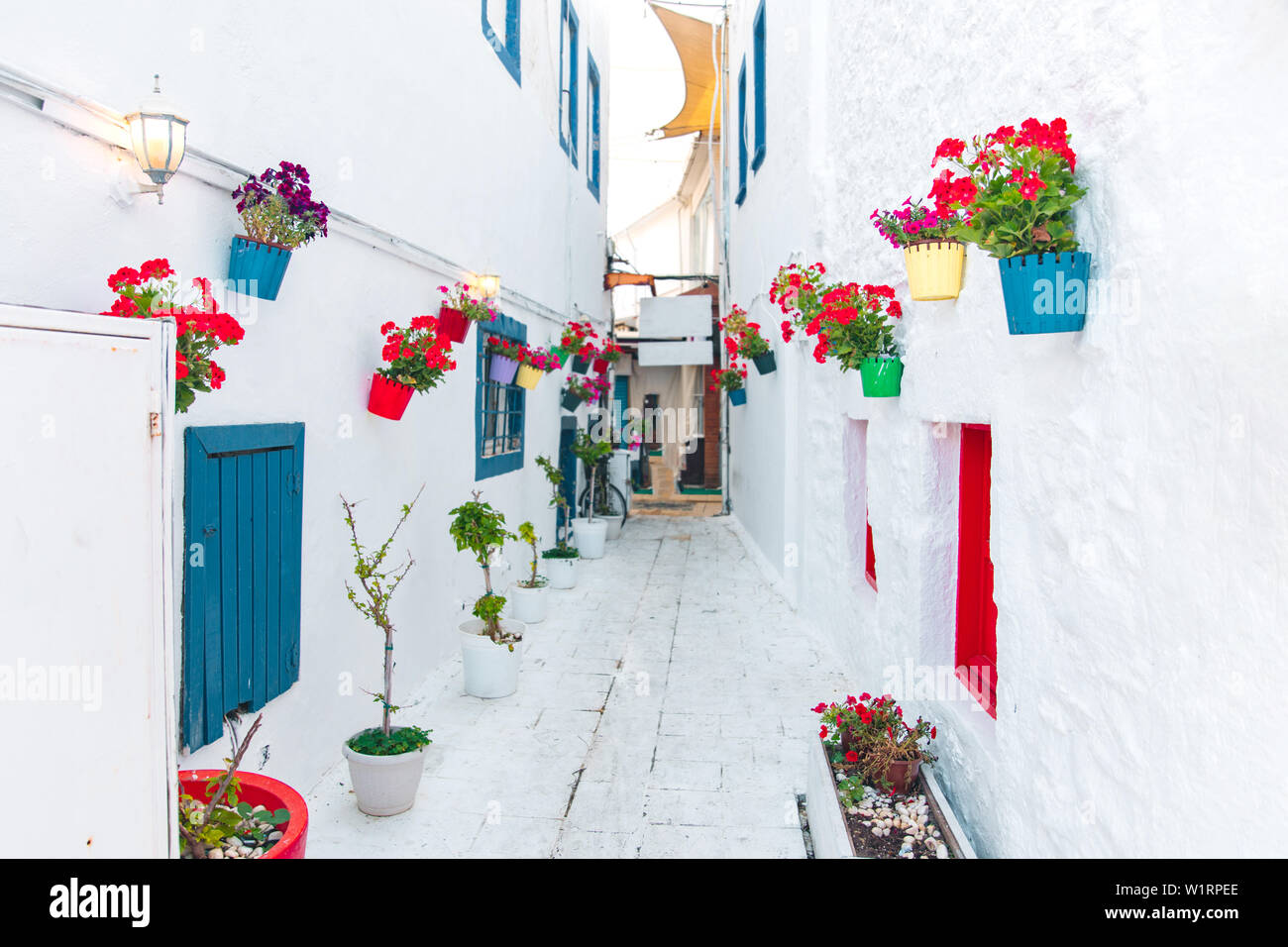 View of white street and flowers in Bodrum city of Turkey. Aegean style ...
