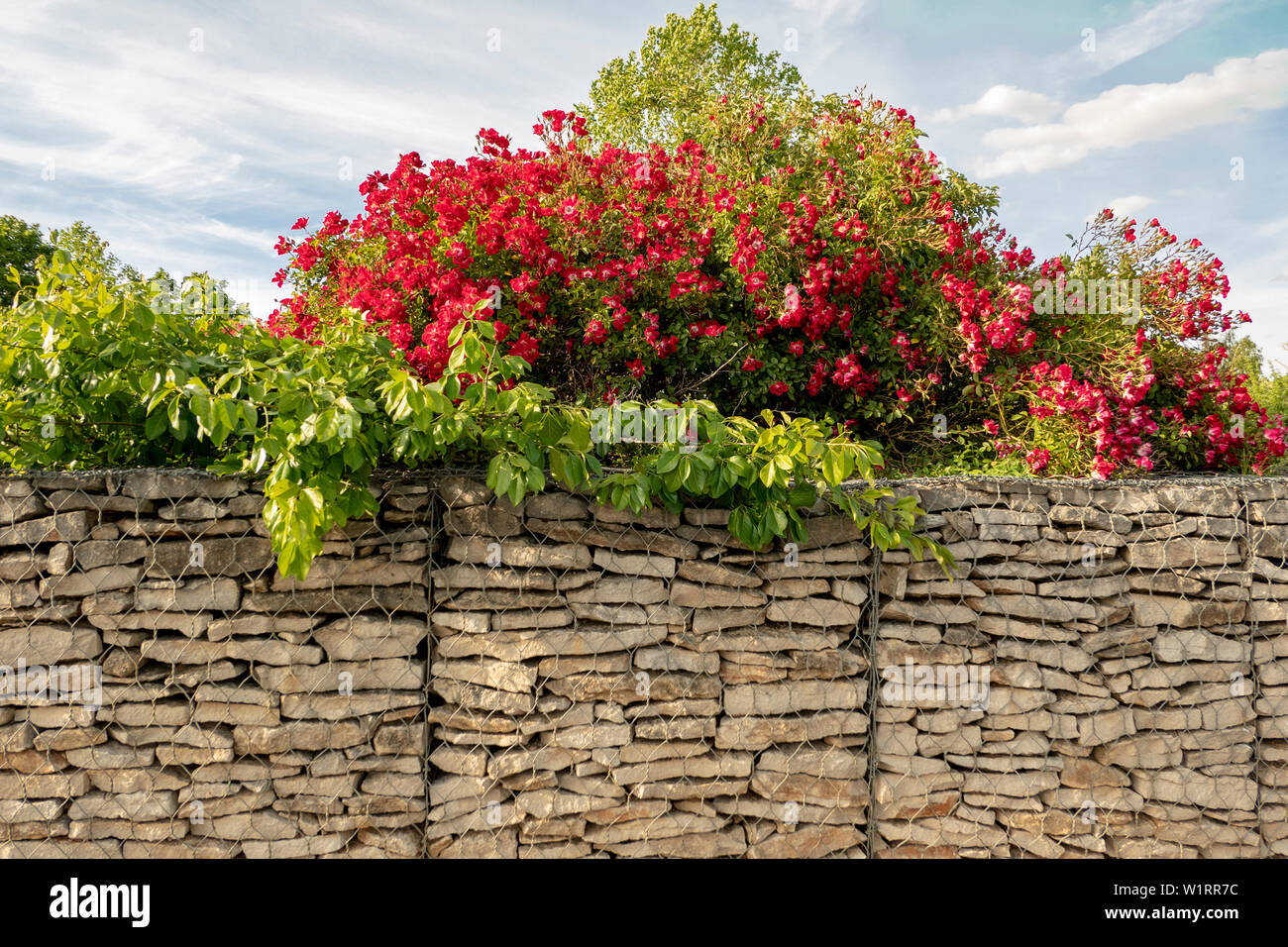 Flowers on a stone wall at the roundabout Stock Photo - Alamy