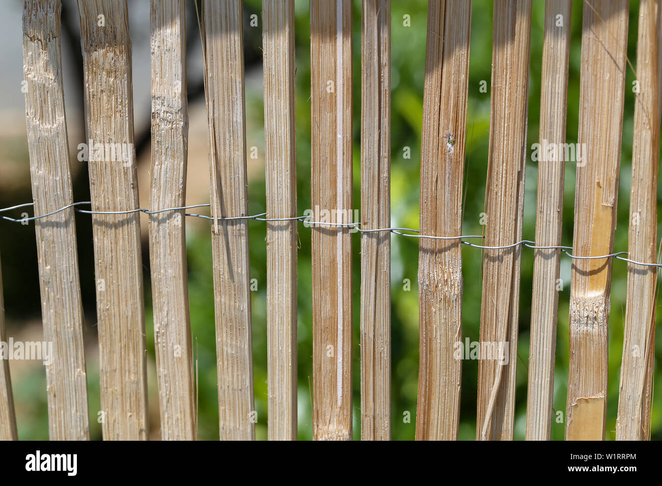 Bamboo Fence Garden High Resolution Stock Photography and Images - Alamy