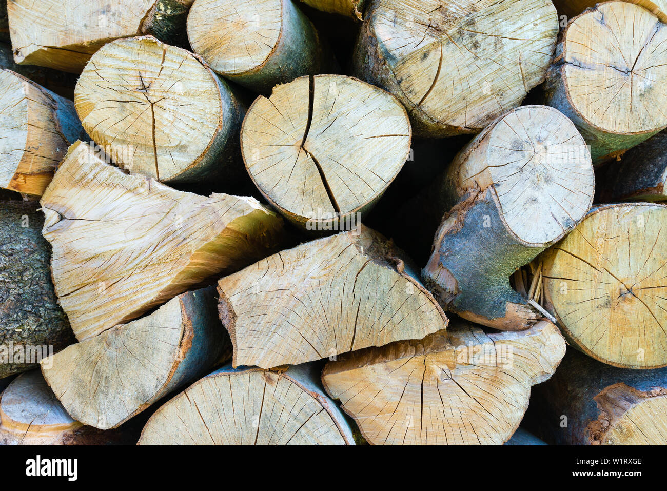 Wall of stacked wood logs as background - high resolution image Stock ...