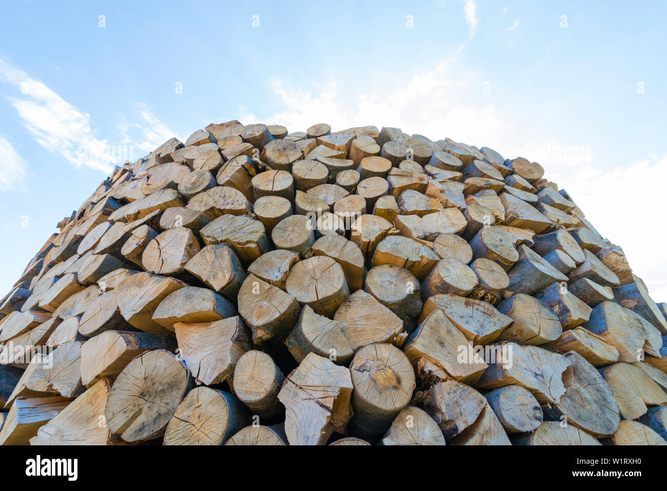 Wall of stacked wood logs as background - high resolution image Stock ...
