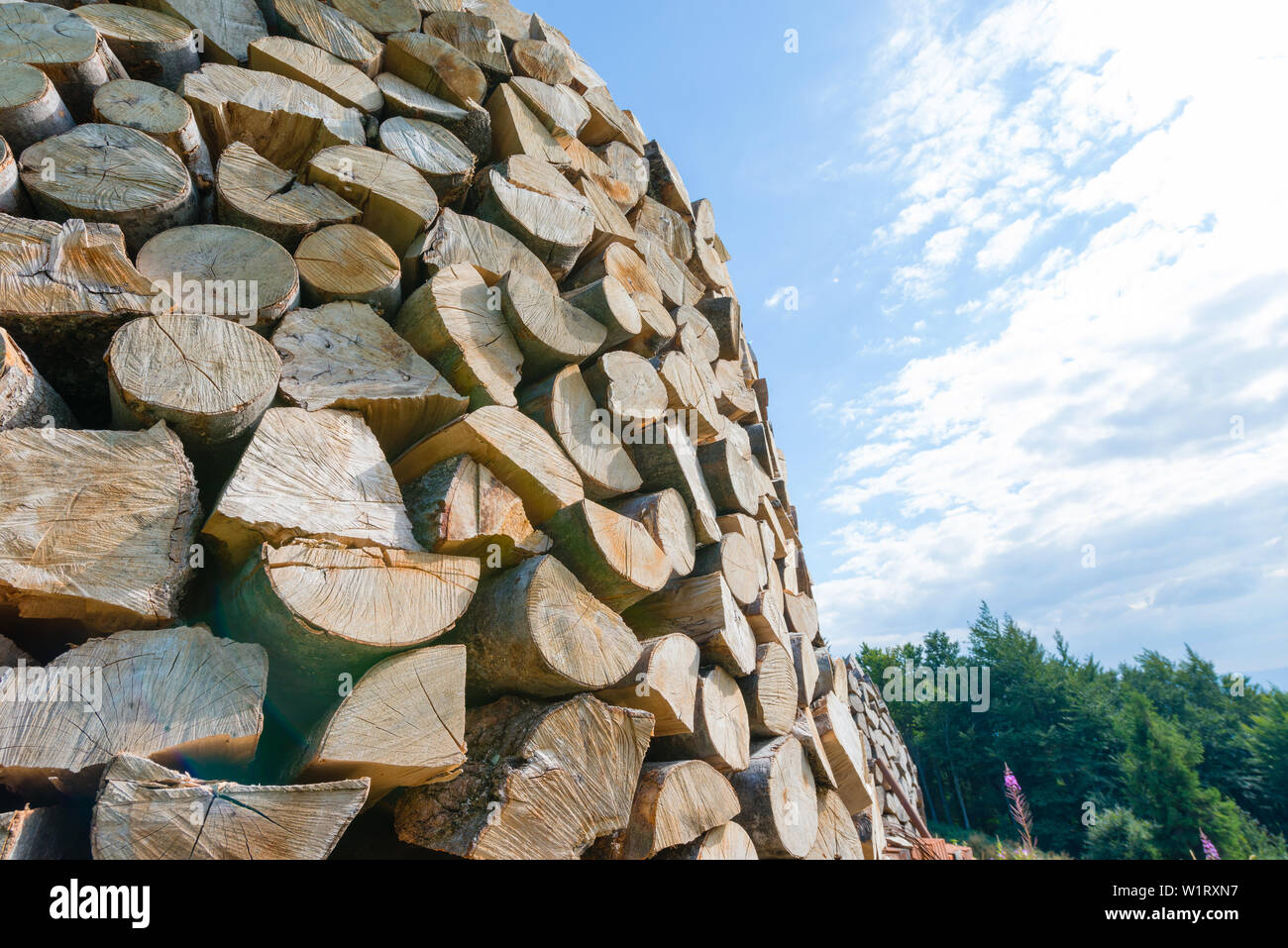 Wall of stacked wood logs as background - high resolution image Stock ...