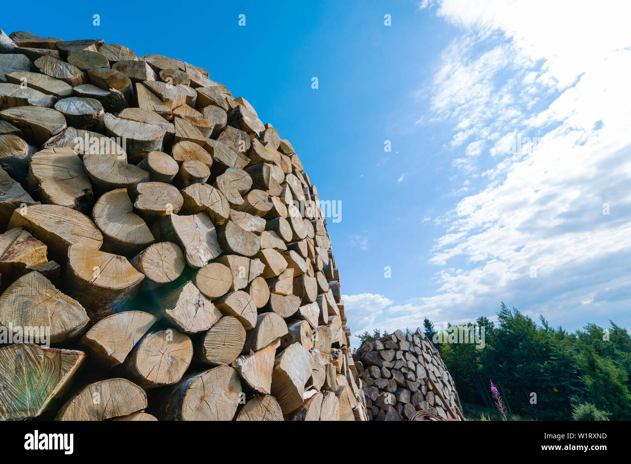 Wall of stacked wood logs as background - high resolution image Stock ...