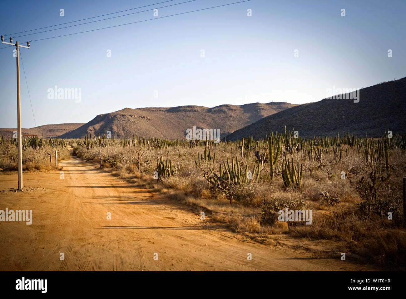 Remote dirt road in an arid landscape Stock Photo - Alamy