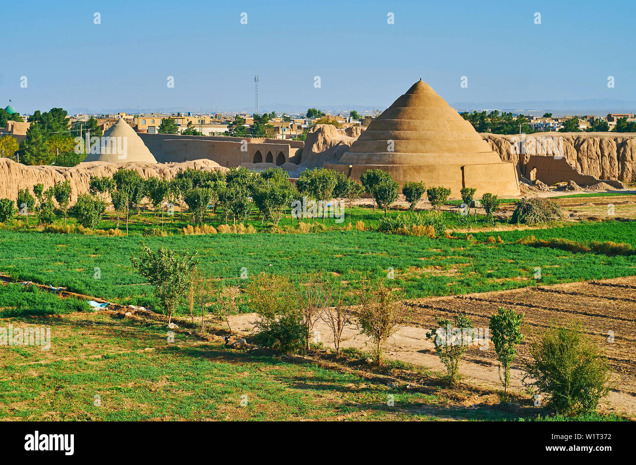 The juicy green kitchen garden in old Kashan is surrounded by mud wall ...