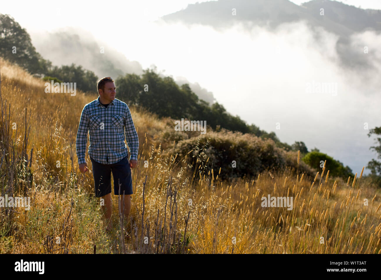 Man walking through the bush hi-res stock photography and images - Alamy