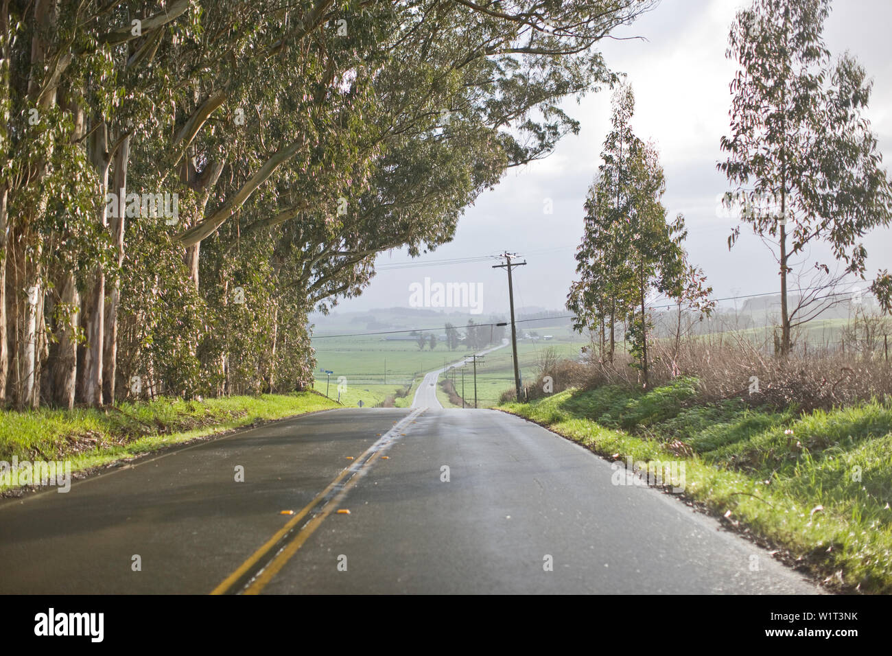 Horizontal photo country road hi-res stock photography and images - Alamy