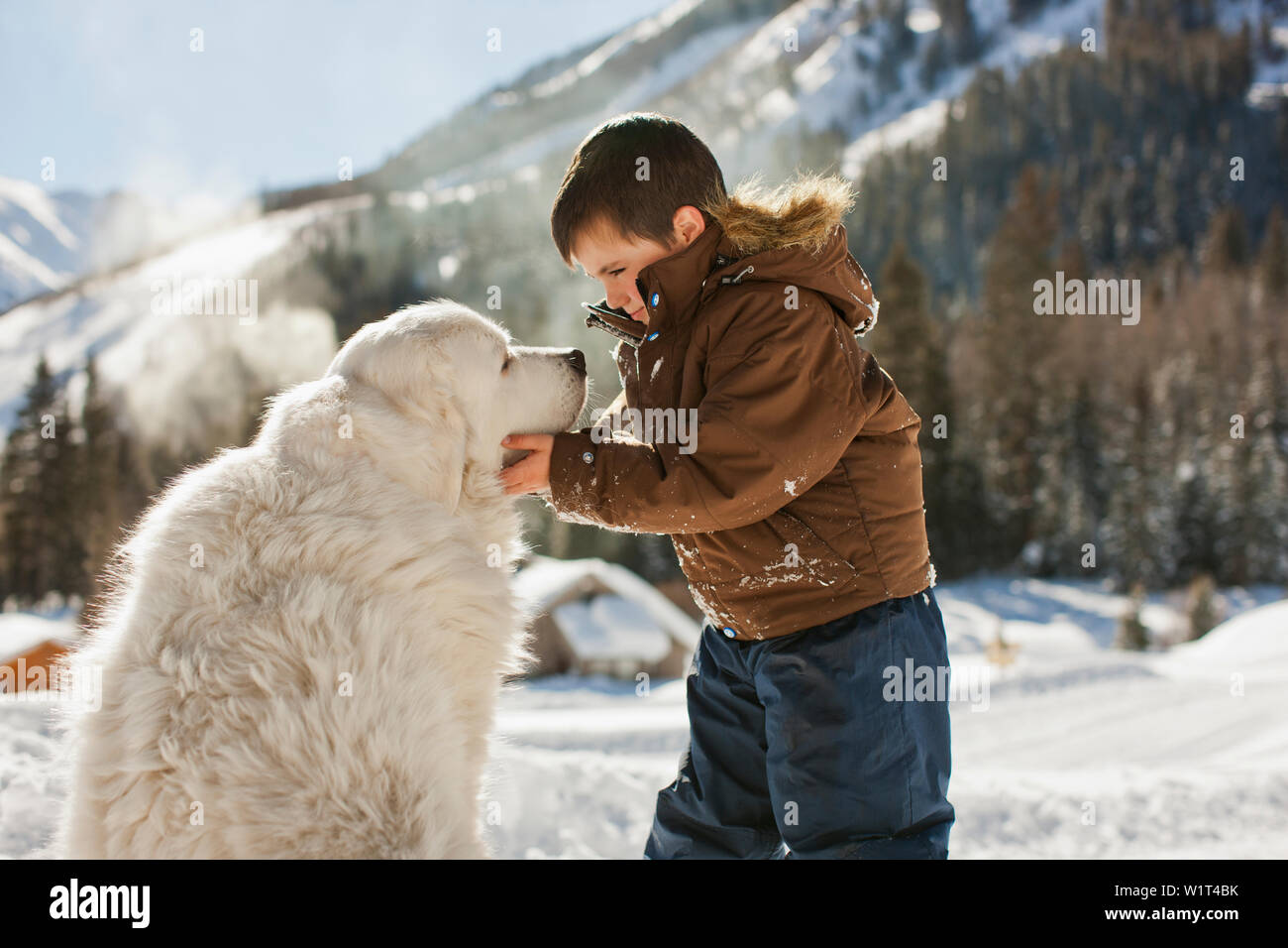 Young boy looking at his dog while playing outside in the snow Stock ...