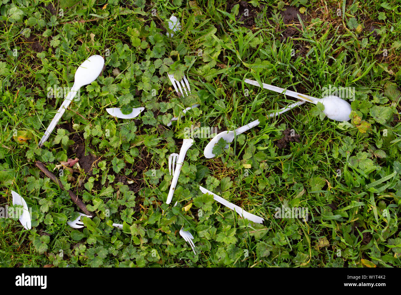 Scattered white plastic cutlery possibly damaged by a mower Stock Photo ...