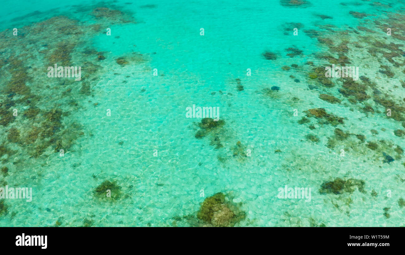 Sea water surface in lagoon with coral reef copy space for text. Top ...
