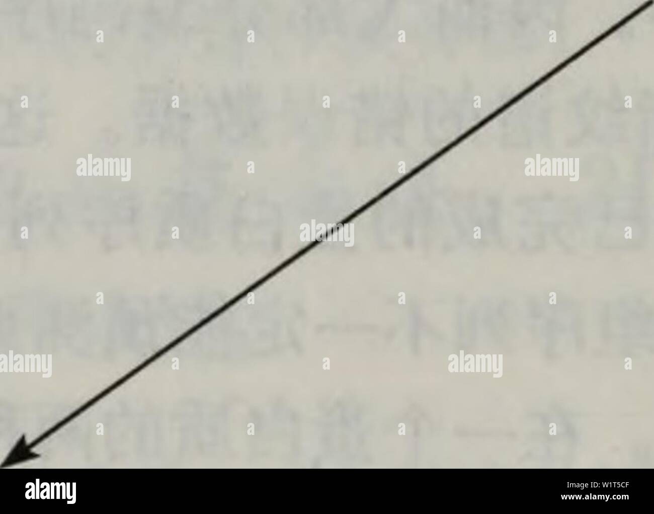 Lc ms ms hi-res stock photography and images - Alamy