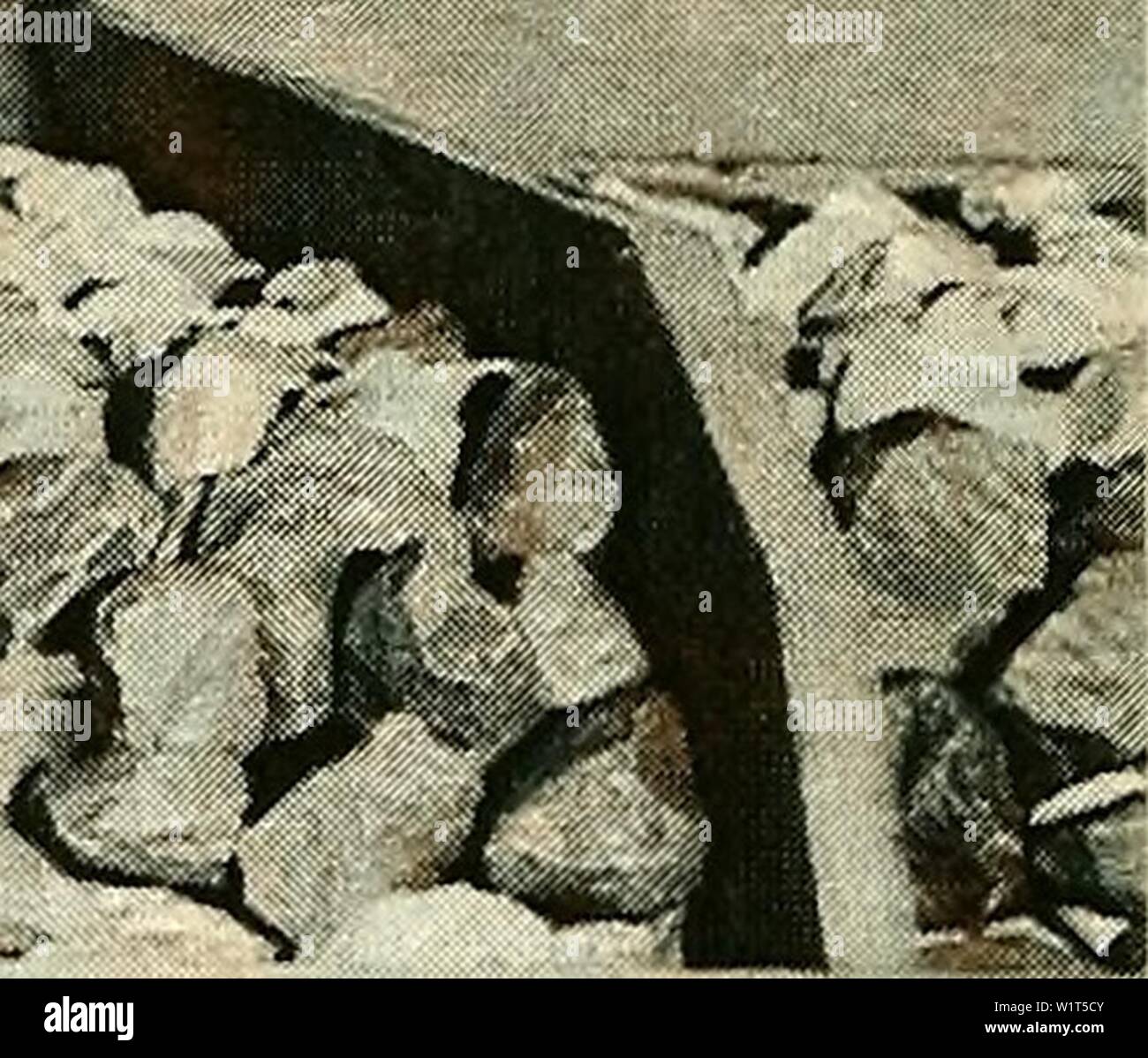 Rubble Mound High Resolution Stock Photography and Images - Alamy