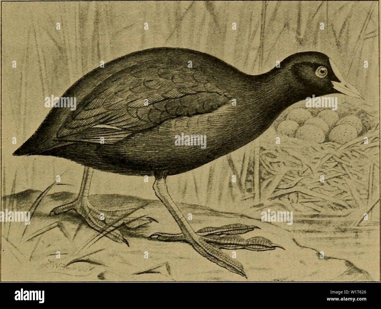 18 15 21 mm hi-res stock photography and images - Alamy