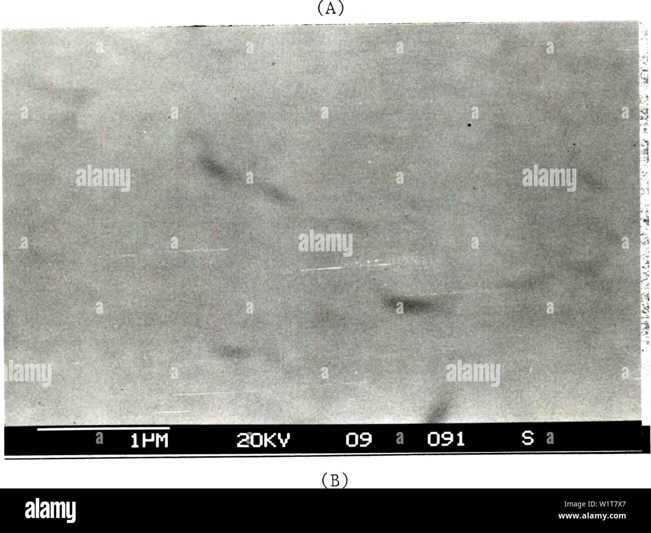 Archive image from page 97 of Deposition, corrosion and coloration of ...