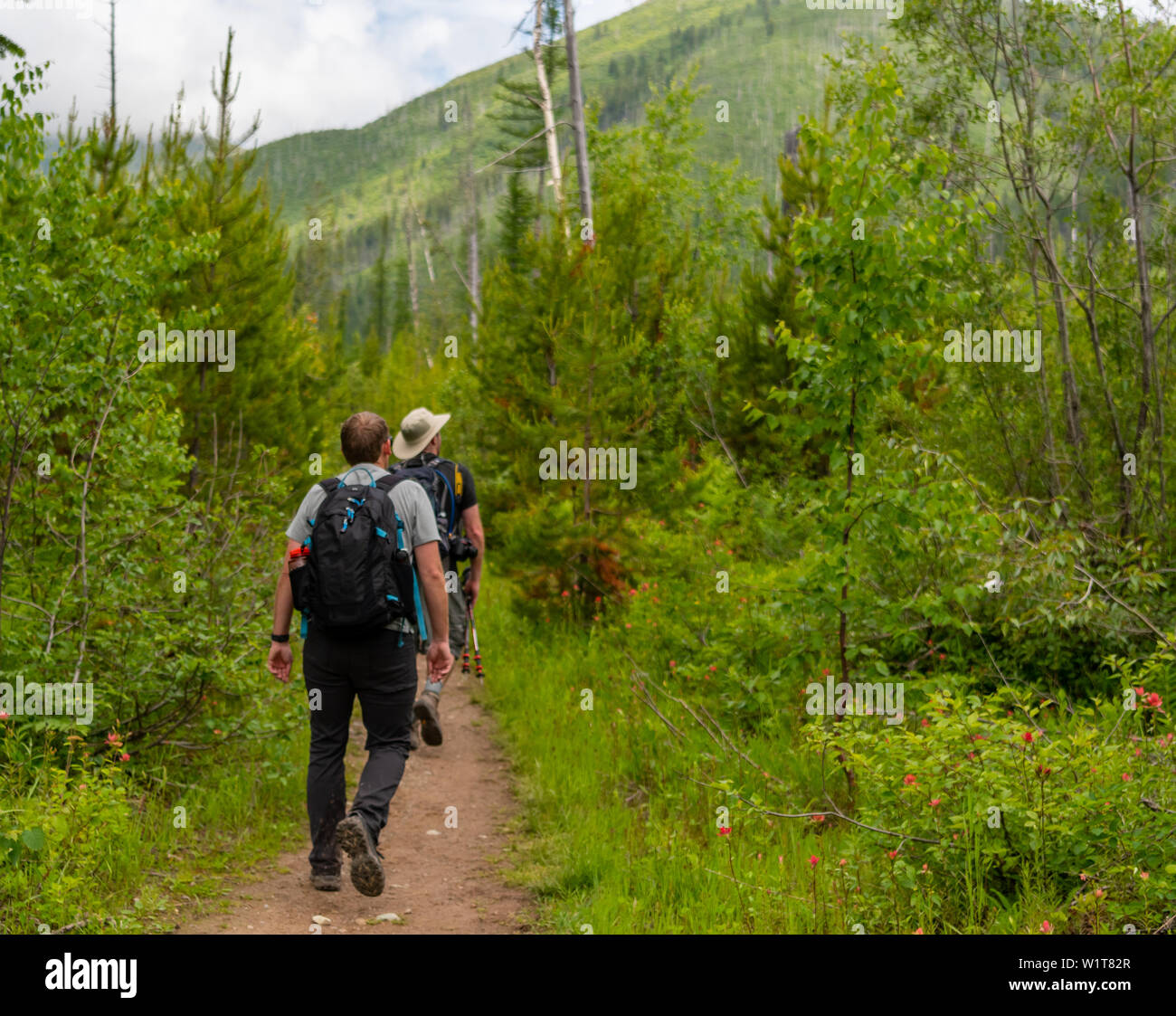 Two Men Hiking along dirt trail in Montana wilderness Stock Photo - Alamy