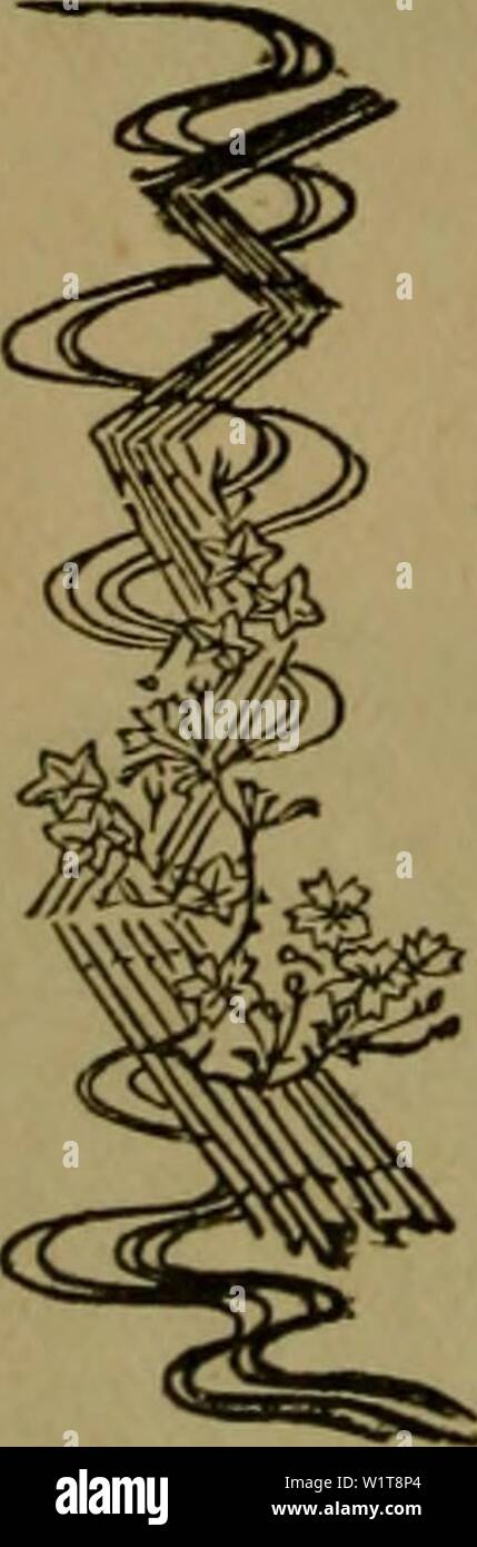 Archive image from page 99 of Dbutsugaku zasshi (1889 Stock Photo - Alamy
