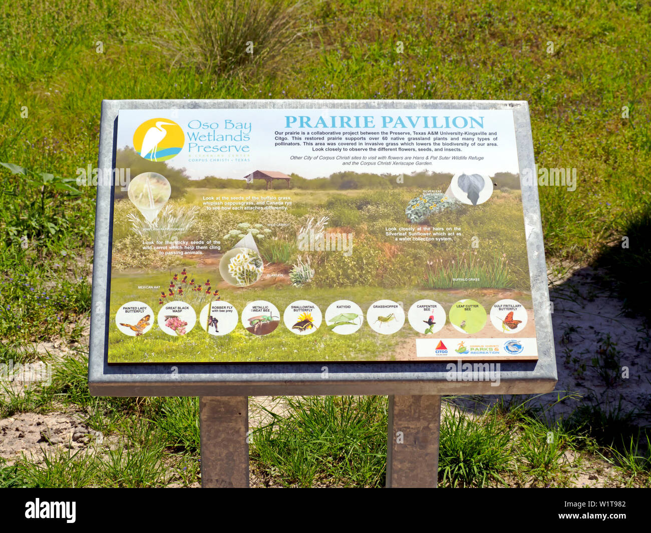 Oso bay wetlands preserve hi-res stock photography and images - Alamy