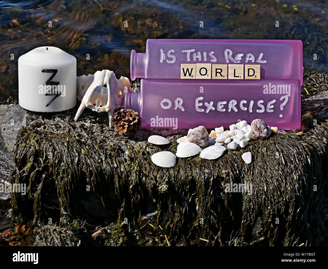 Real world dog hi-res stock photography and images - Alamy