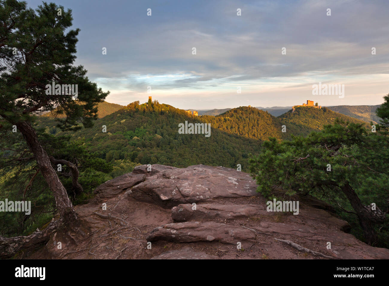 Scharfenberg coupler or schaku hi-res stock photography and images - Alamy