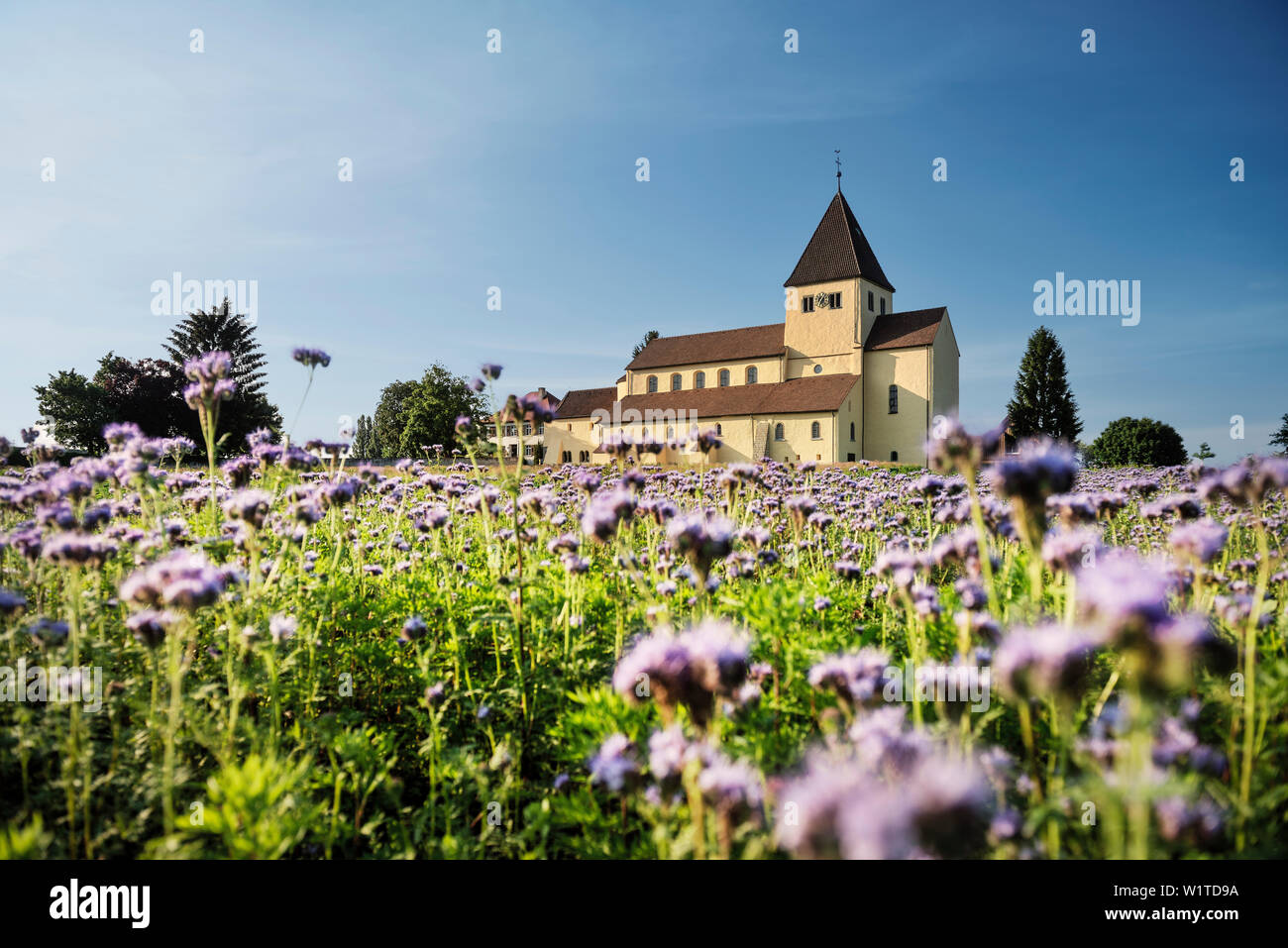 Reichenau monastery hi-res stock photography and images - Alamy