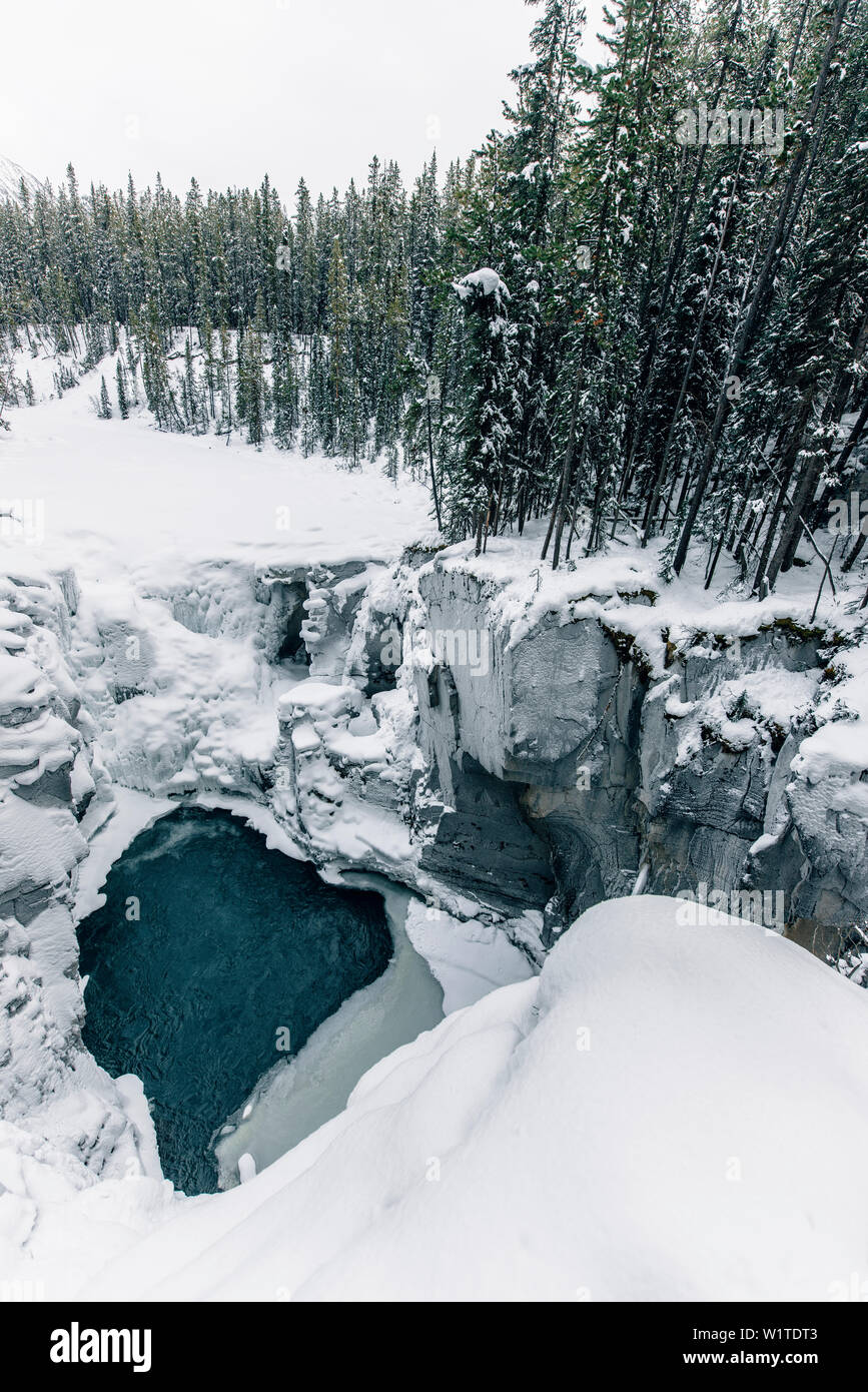 canyon at sunwapta falls, sunwapta falls, Jasper National Park, Alberta ...