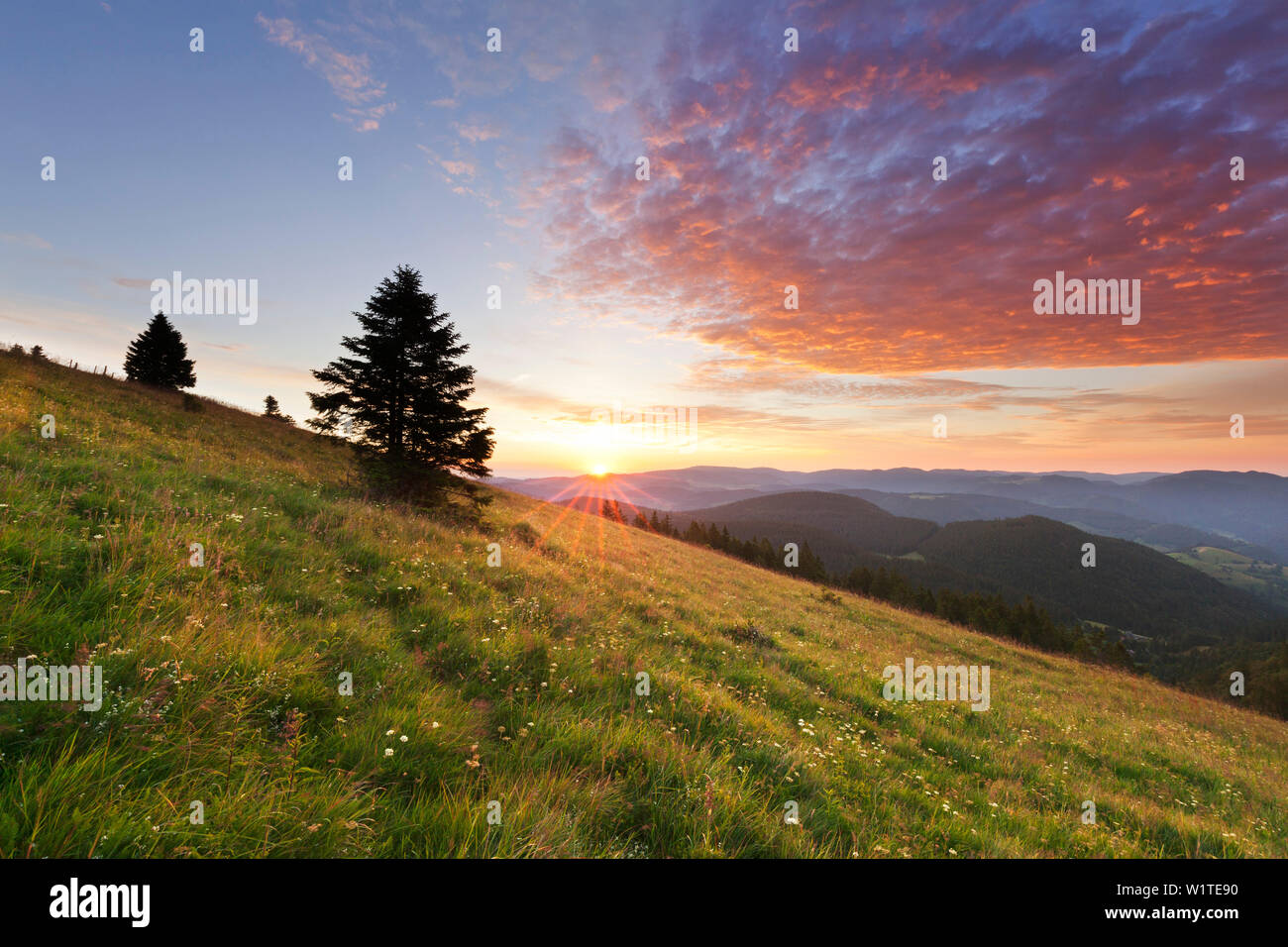 Morning mood at Belchen, Black Forest, Baden-Wuerttemberg, Germany ...
