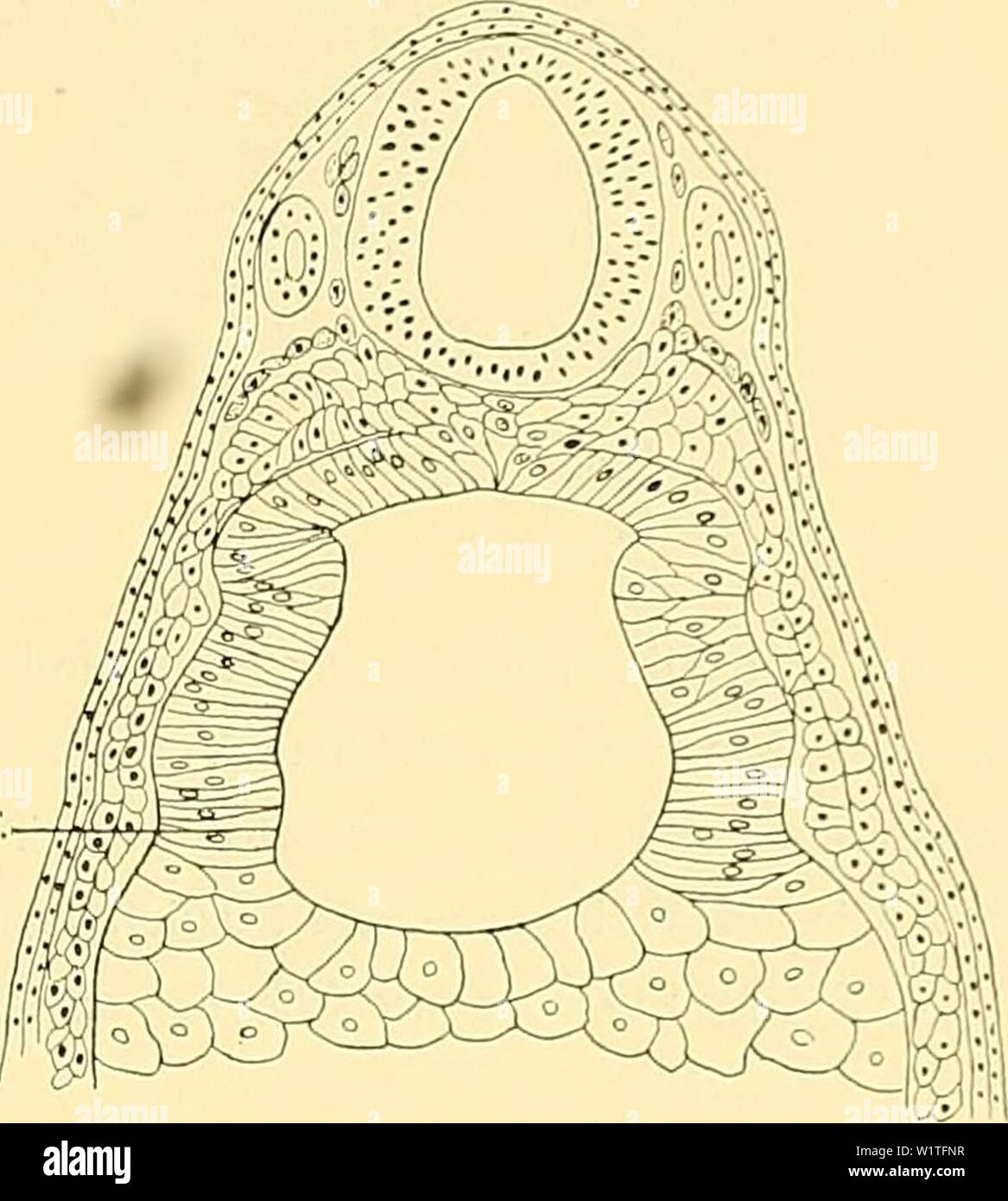 102 gr hi-res stock photography and images - Alamy