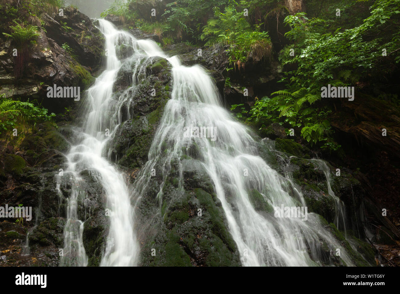 Hoellbachgspreng cascade, hiking path to Grosser Falkenstein, Bavarian ...