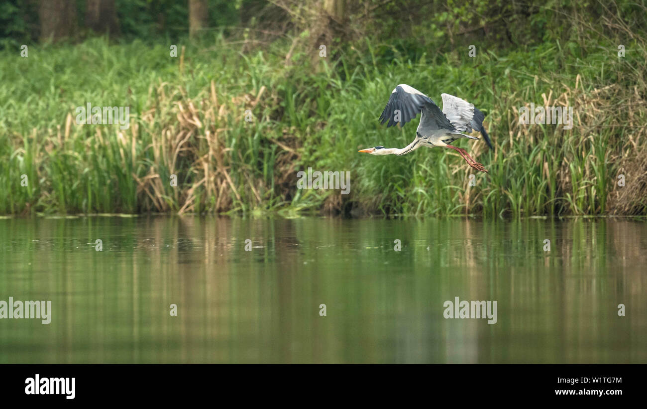 Spreewald Biosphere Reserve, Germany, Hiking, Kayaking, Recreation Area ...