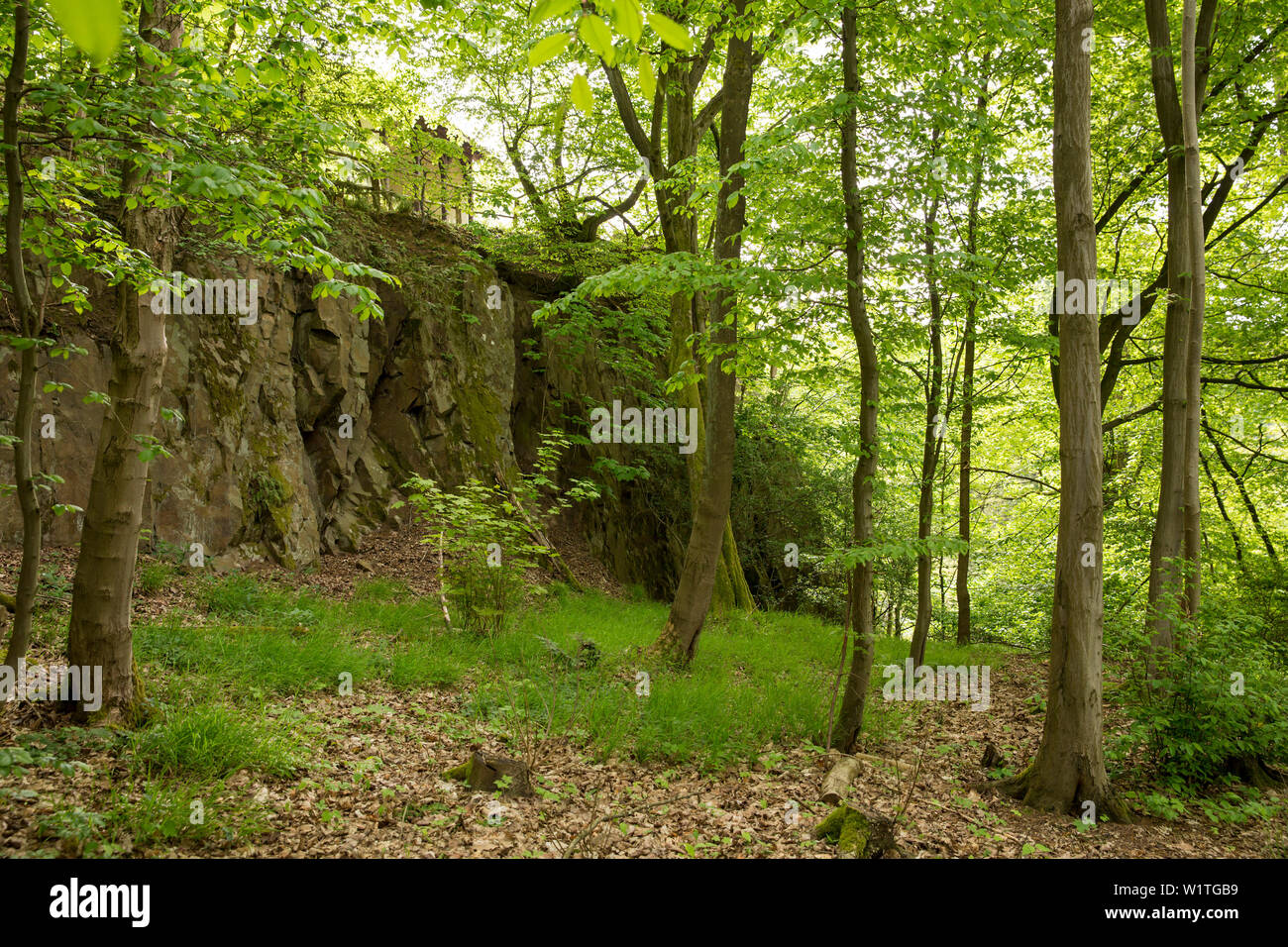 Haina hi-res stock photography and images - Alamy