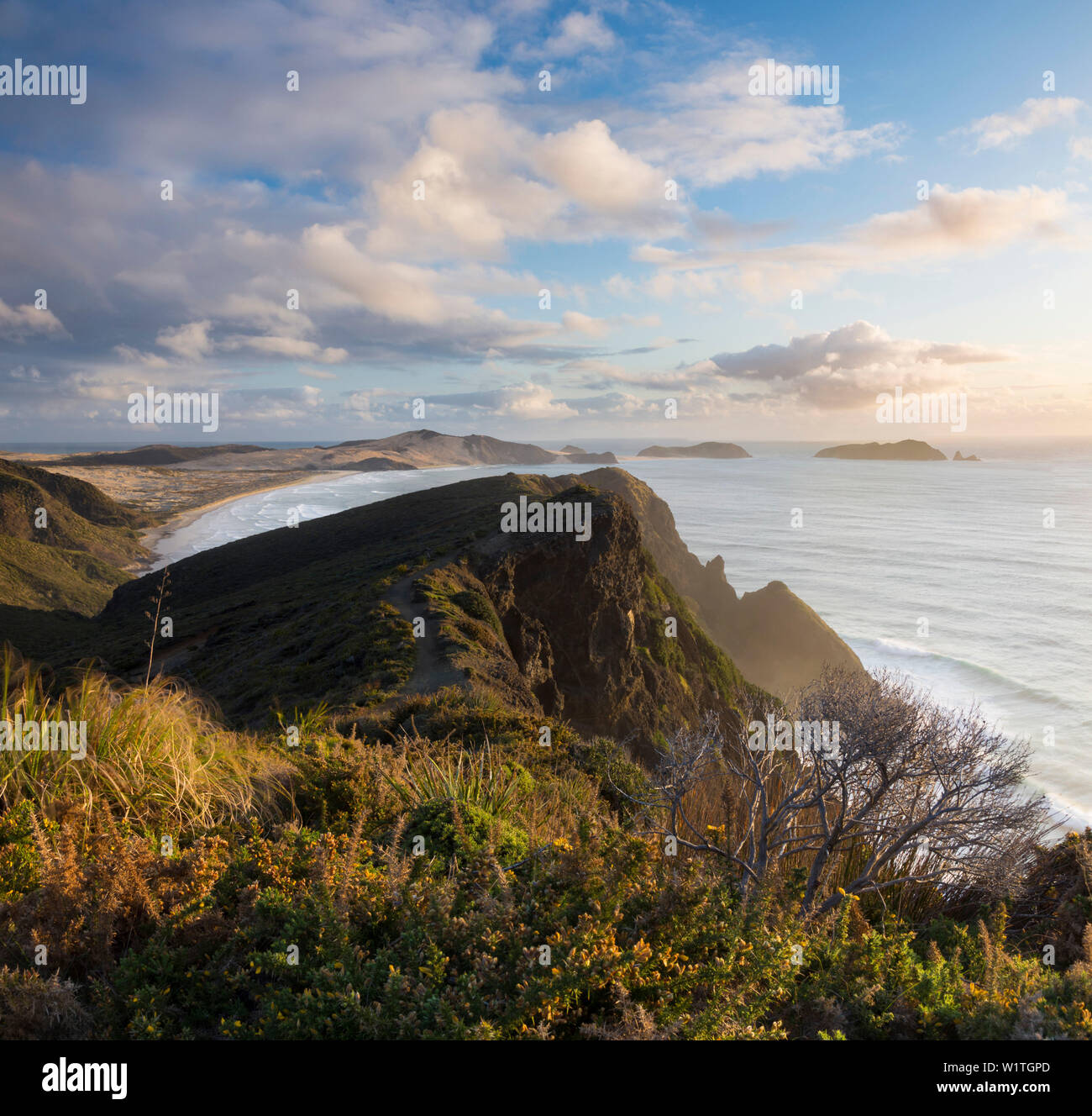 Coastal landscape near Cape Reinga, Aupouri Peninsula, North Island ...