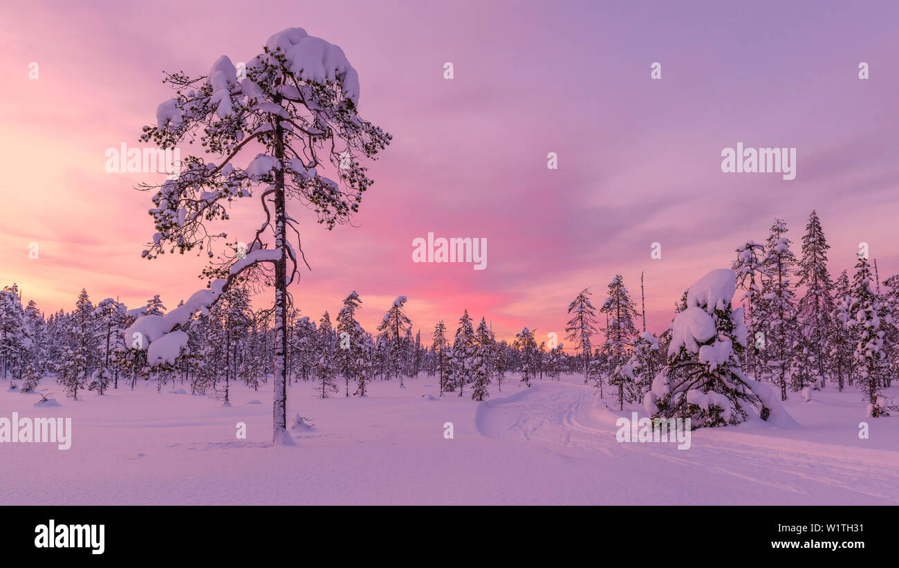 Pyha luosto national park hi-res stock photography and images - Alamy