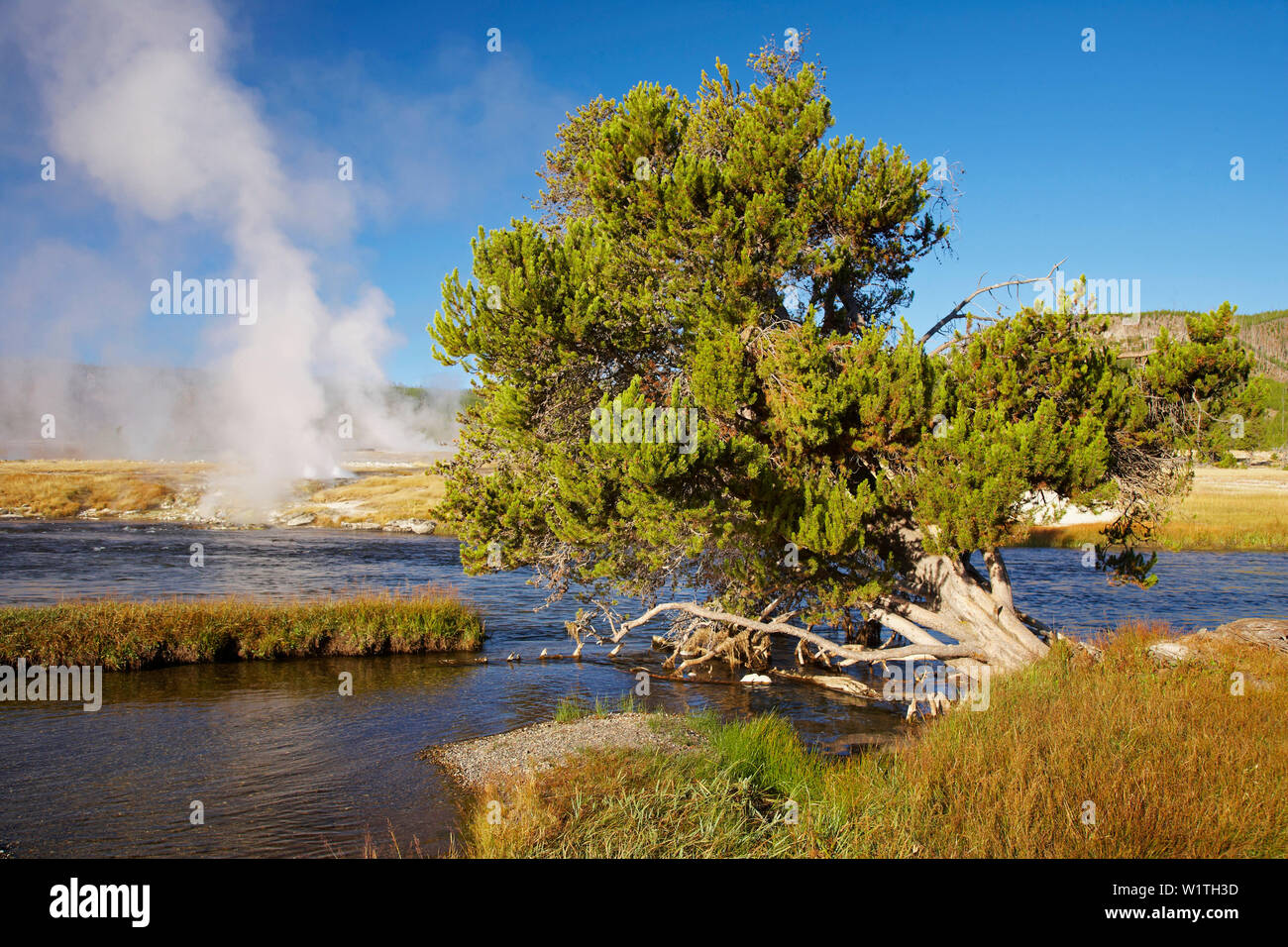 Biscuit Basin , Firehole River , Super volcano , Yellowstone National ...