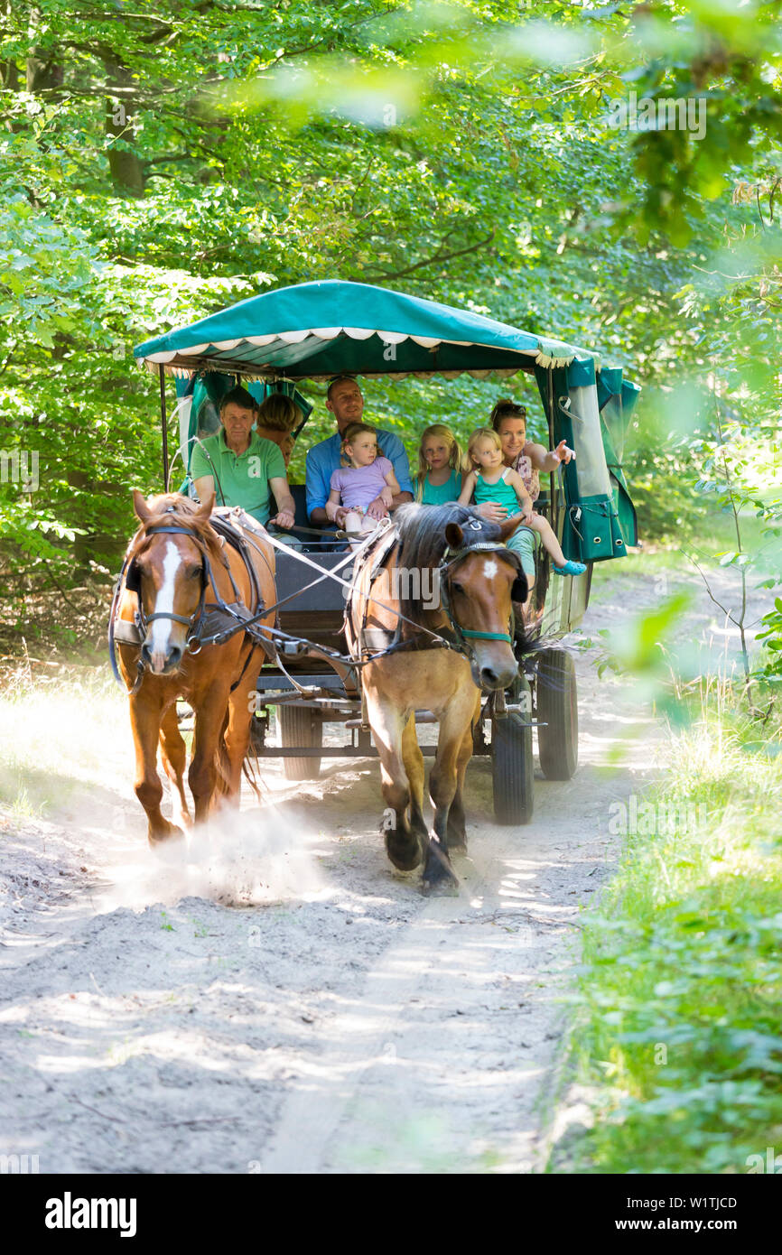 Ride a charabanc hi-res stock photography and images - Alamy