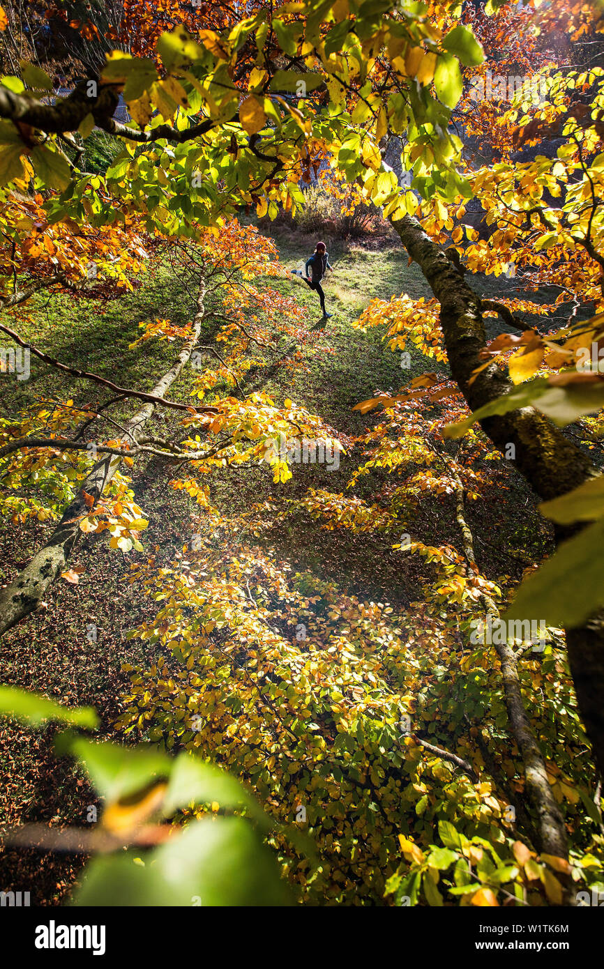 Person running through forest leaves hi-res stock photography and ...