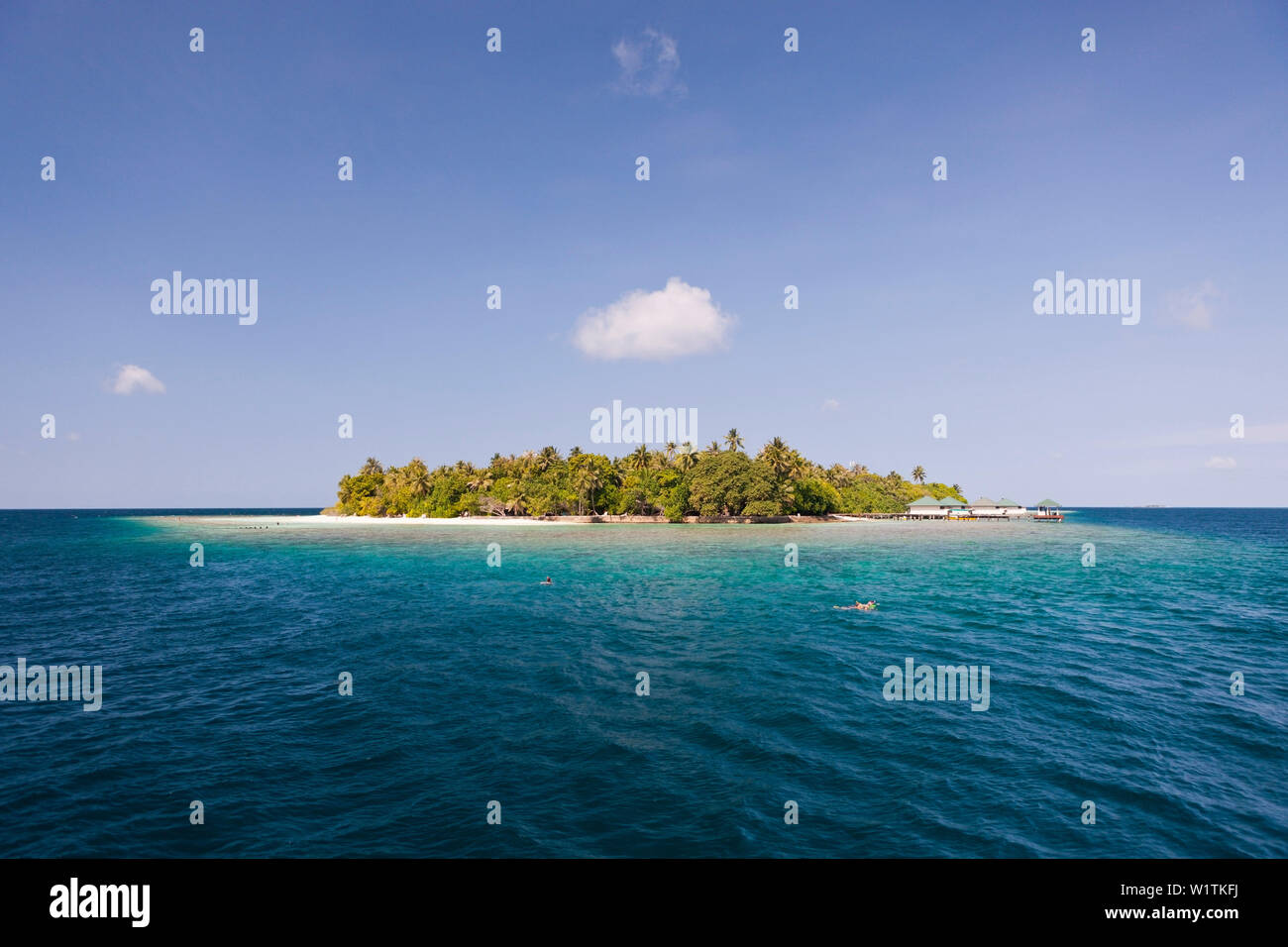 Alimatha Island, Felidhu Atoll, Maldives Stock Photo - Alamy