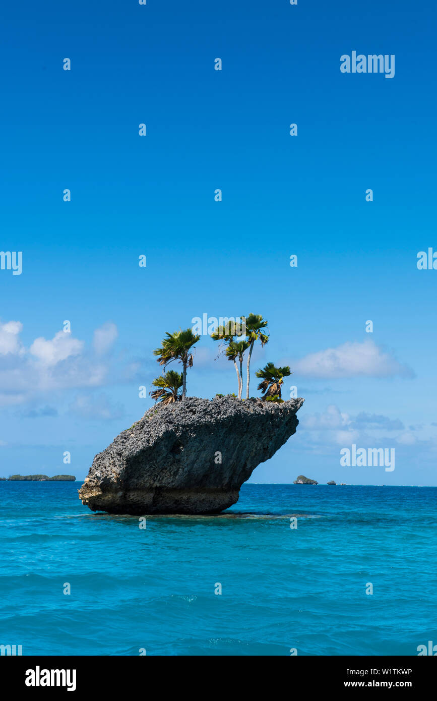 A tiny craggy island crowned by several palm trees stands in turquoise ...