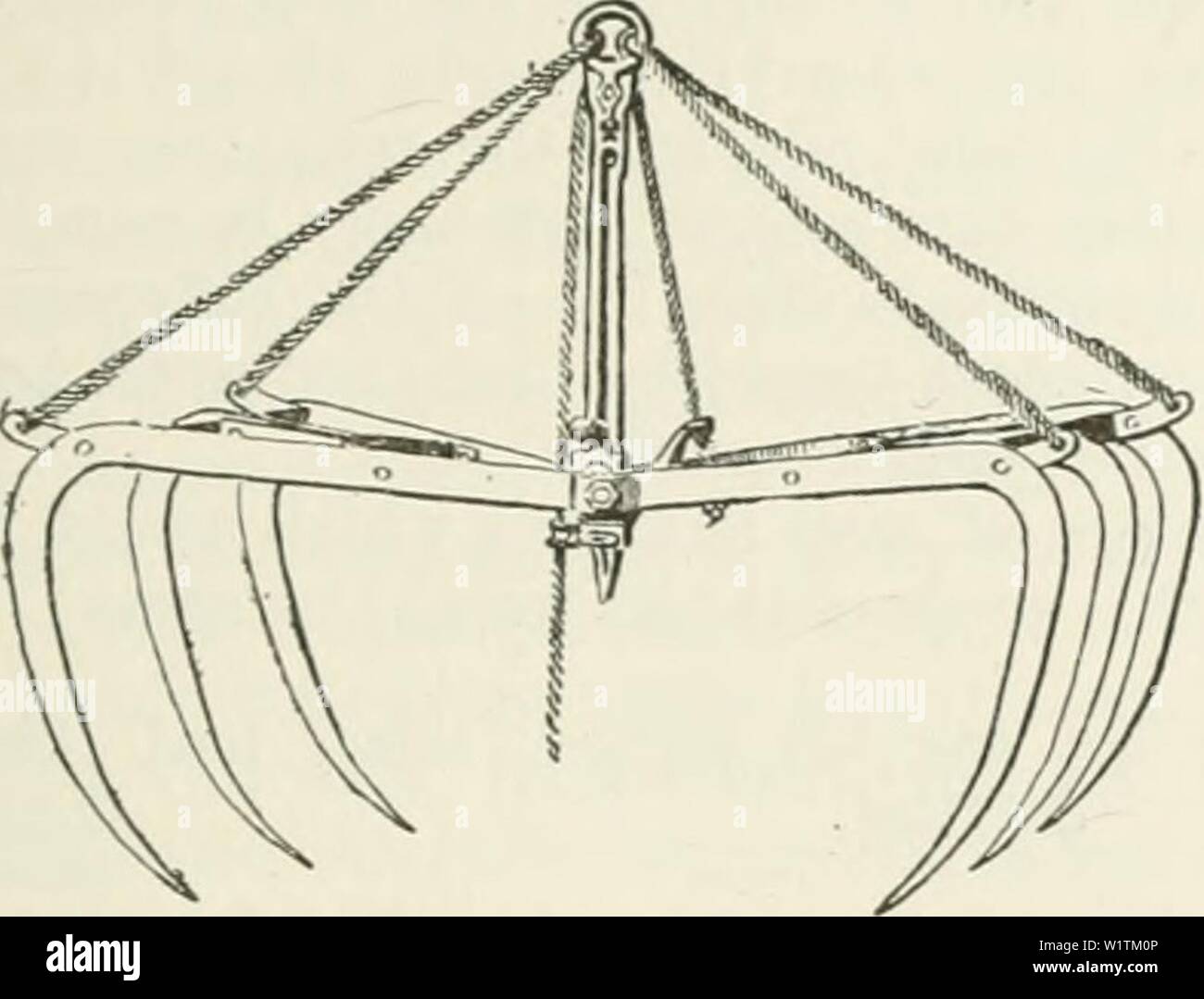 Albrecht the bear hi-res stock photography and images - Alamy