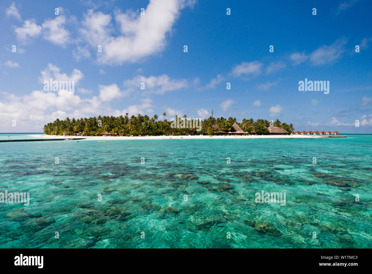Alimatha Island, Felidhu Atoll, Maldives Stock Photo - Alamy