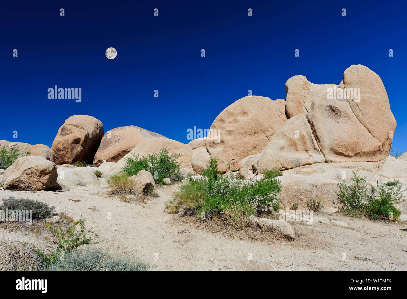 rocks in the Joshua-Tree National Parc, California, USA Stock Photo - Alamy