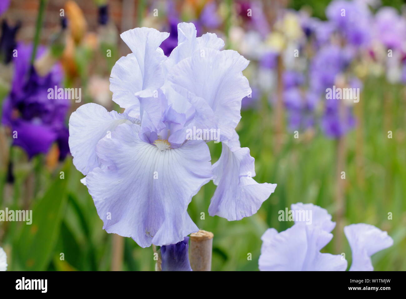 The garden of skye hi-res stock photography and images - Alamy