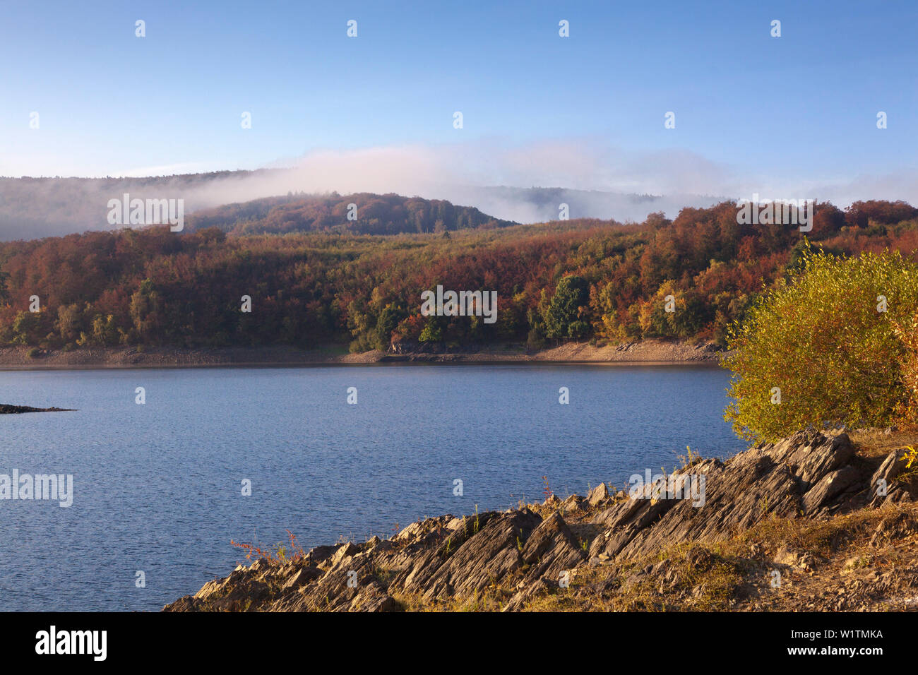 National park eifel hi-res stock photography and images - Alamy