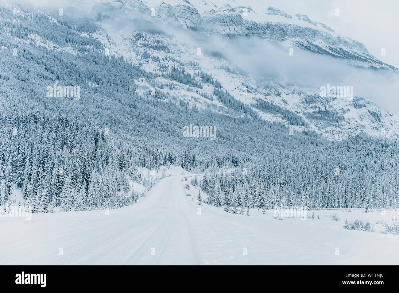 Icefields Parkway, Banff National Park, Jasper National Park, Alberta ...