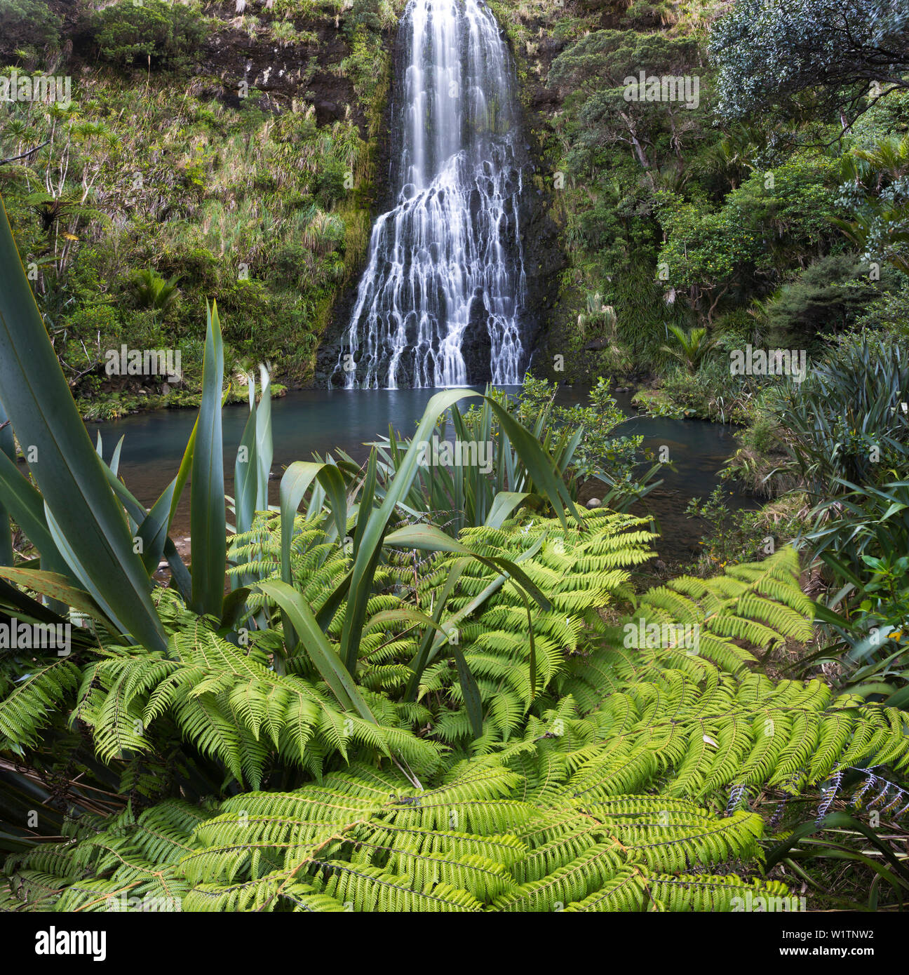 Karekare, Waitakere Ranges Regional Park, Auckland, North Island, New ...